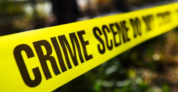 DNA Testing for crime scene investigations - DNA Forensics