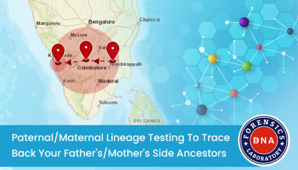 Unveil the Ancestral Mysteries with Ancestry DNA Test