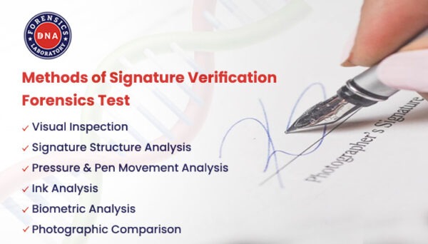 Ensure Documental Security with Signature Verification Test