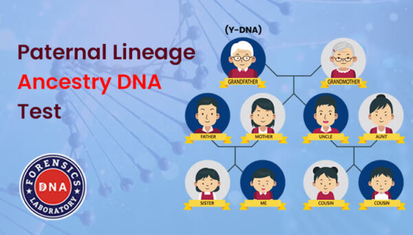 How Much Does DNA Ancestry Testing Cost in India?