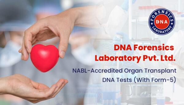 Accurate and Accredited Organ Transplant DNA Test
